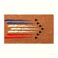 Patriotic 4th of July Coir Doormat 50x80cm, Heavy Duty Outdoor Door Mat ...