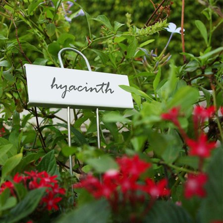 Ruzhgo 8 Pieces Greenhouse Plant Label Garden Flower Grasses Succulent ...