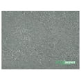 Pathway Fines, Decomposed Granite Gray, 40 lbs, Covers up to 10 Square ...