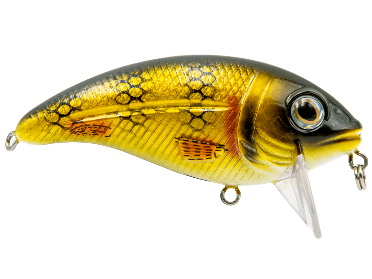 Bull Nose - Walmart.com