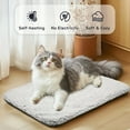 Auto Warming Pet Sleep Pad with Detachable Washable Insert NonSlip Base ...