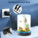 Vertical Insect Terrarium, Reptile Tank, for Tarantula Butterfly Larvae ...