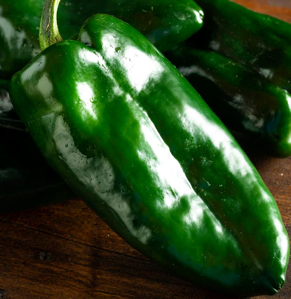 75 Ancho Poblano Grande Pepper Seeds | NON-GMO | Fresh Heirloom Garden ...