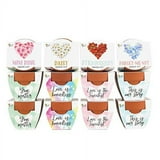 Buzzy Seeds Mini Terracotta 12pk Indoor Garden Kit with Flower and ...