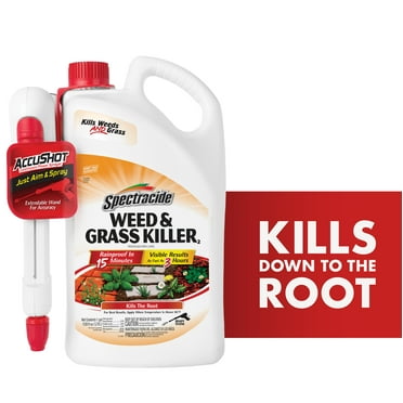 Monterey Spurge Power Herbicide Flower Bed Weed Killer Lawn Concentrate ...