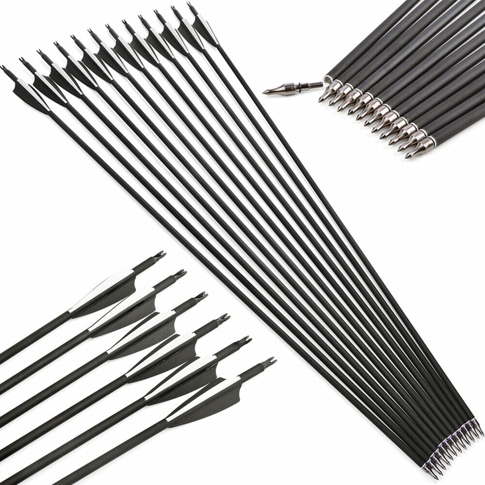 AME 12pcs Archery Carbon Arrows 30" SP500 Screw-in Broadheads Recurve ...