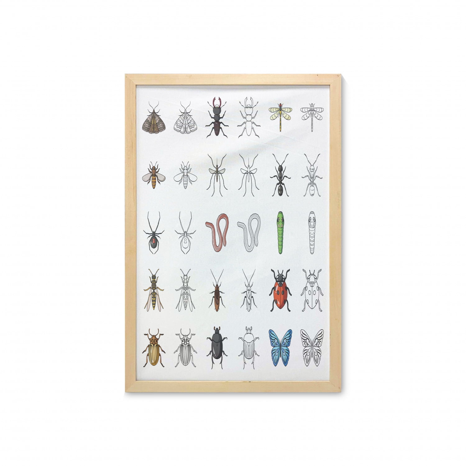 Insects Wall Art with Frame, Different Kinds of Insects Colored and ...