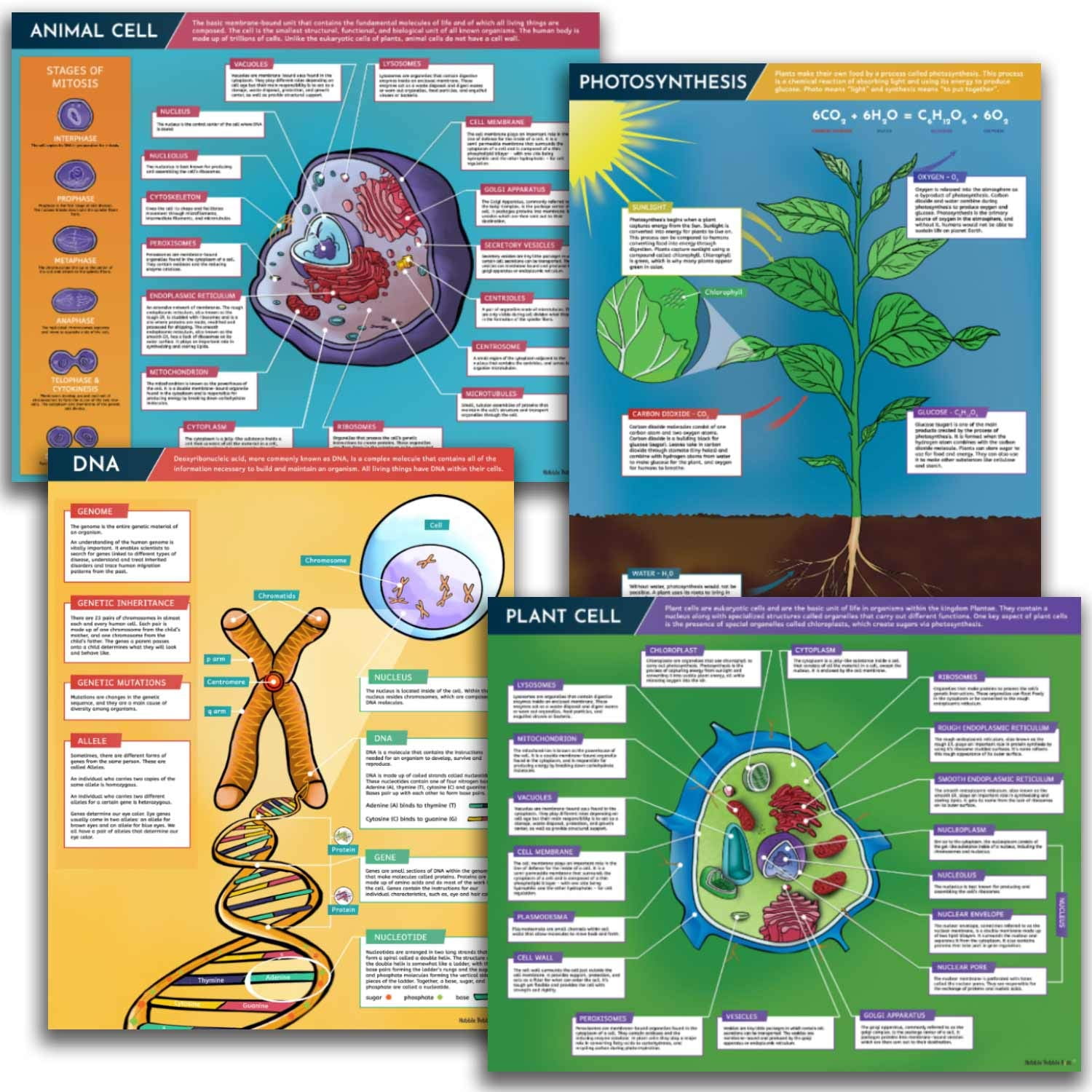 Science Posters For Classrooms