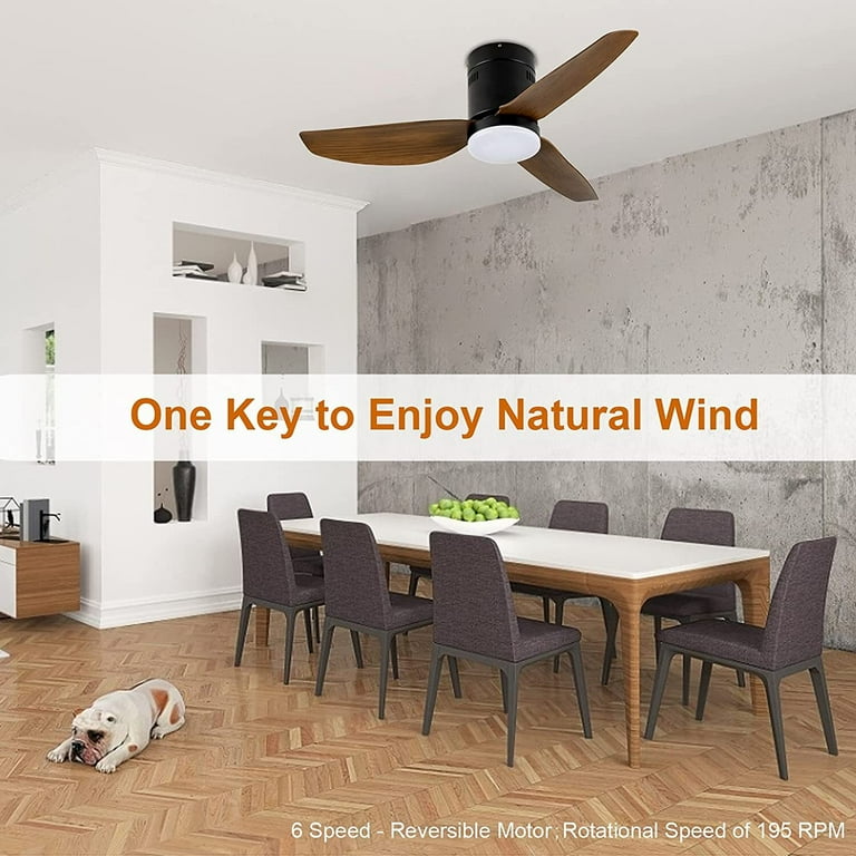 Rotating Ceiling Fan With Light | Shelly Lighting