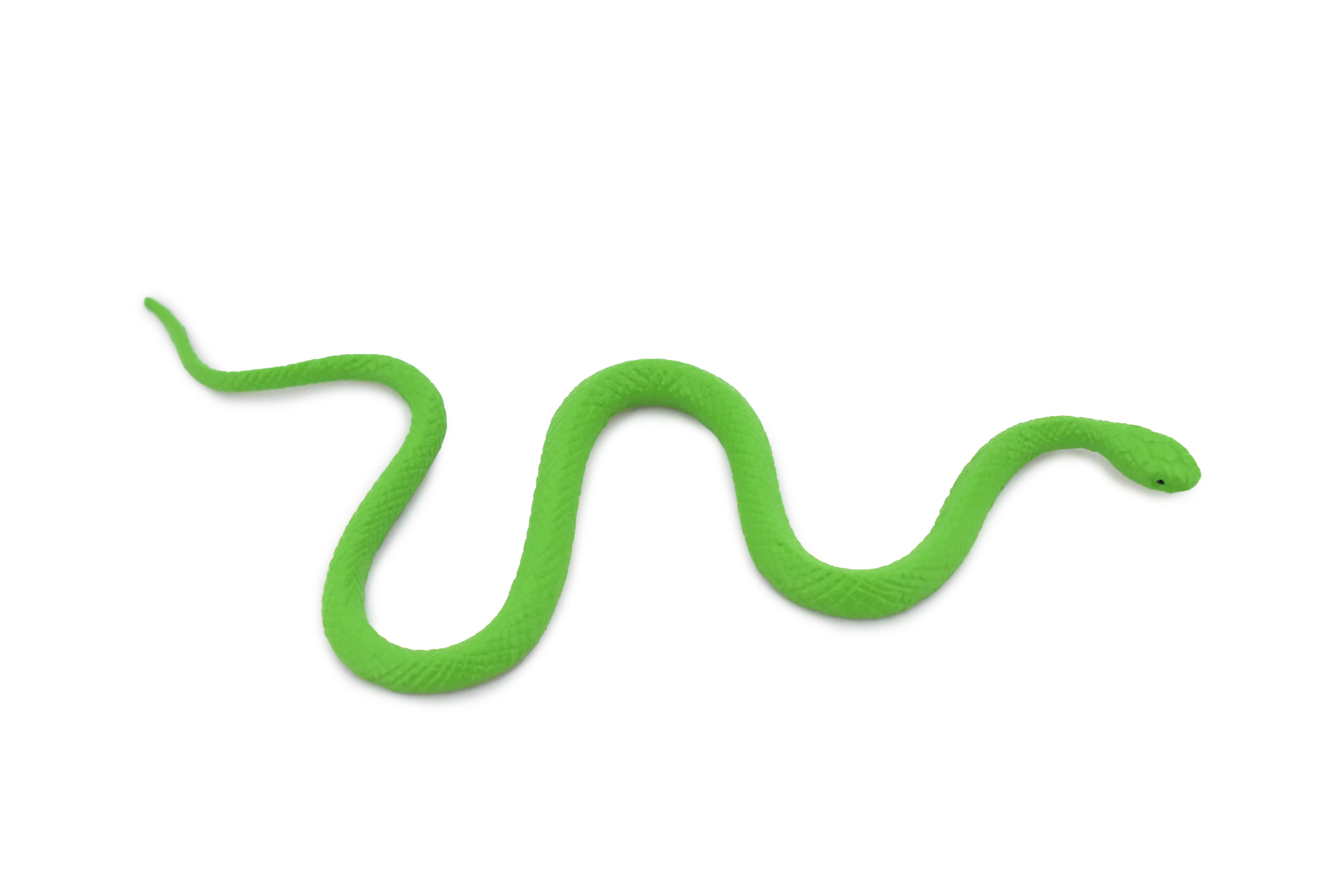 Snake, Western Smooth Green Snake, Rubber Reptile, Educational ...