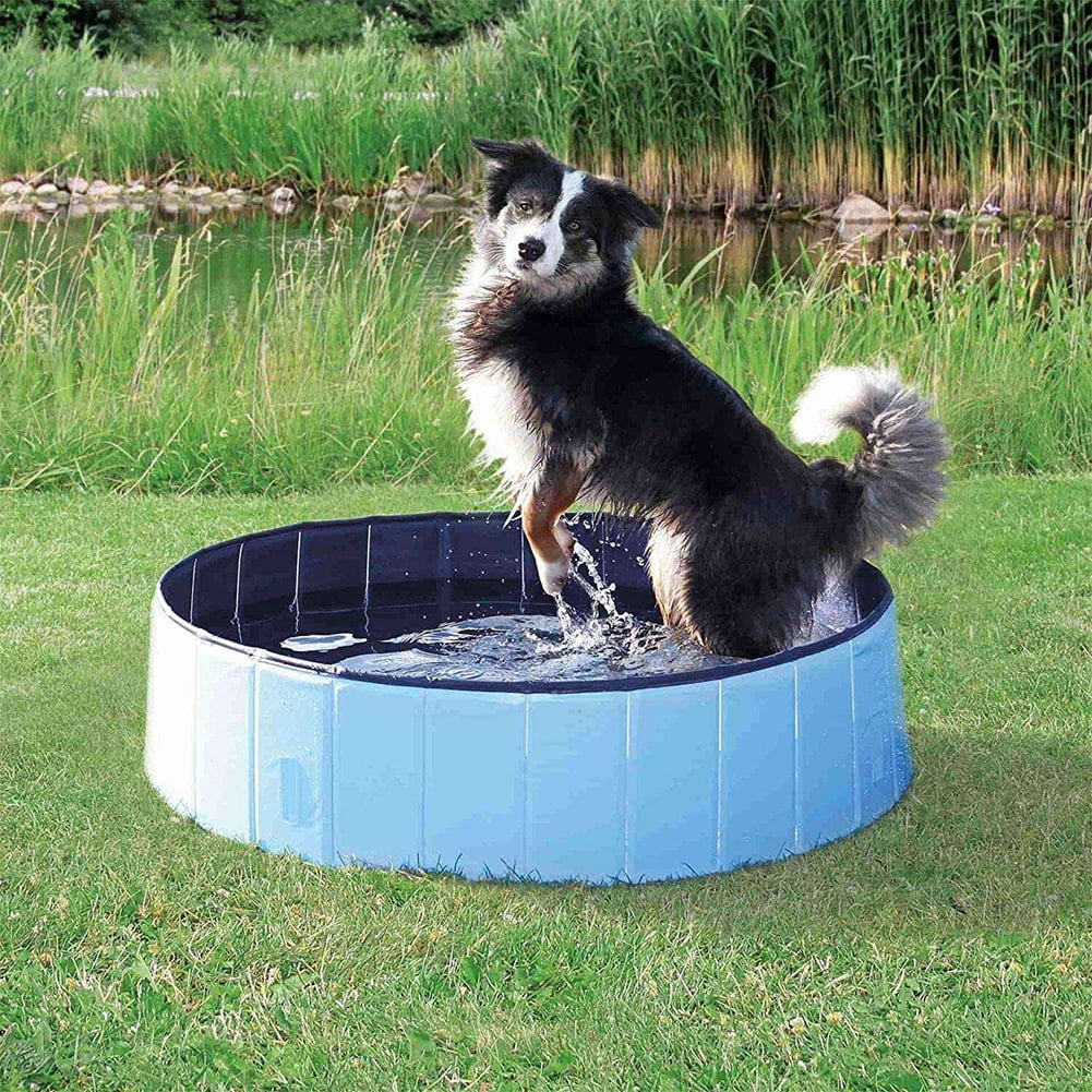 Foldable Dog Pool, Dog Pools for Large Dogs Portable PVC Pet Swimming ...