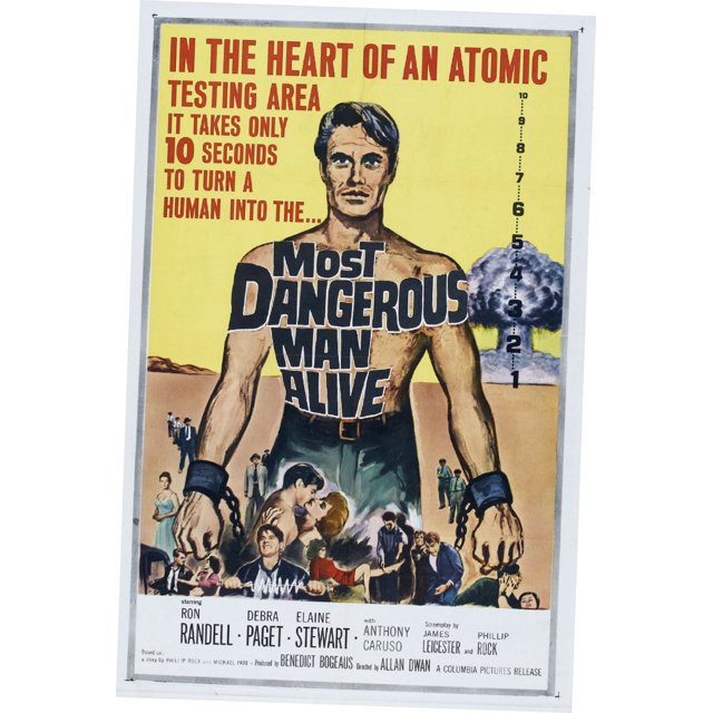 Most dangerous Man Alive Movie Poster 12x16 Print on Metal Sign 12in x ...