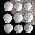 30 PCS 2 Inch Natural White Scallop Shells Sea Shells for DIY Craft ...