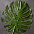 Tropical Monstera Leaf Stem by Ashland® - Walmart.com