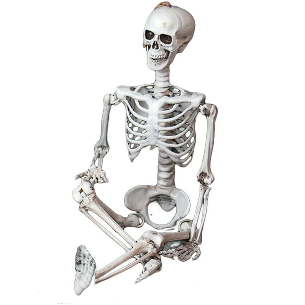 Mubineo Halloween Decoration，40 CM/15.7 Inches Halloween Human Skeleton ...