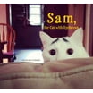 Sam, the Cat with Eyebrows (Paperback) - Walmart.com