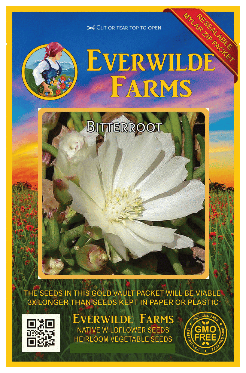 Everwilde Farms - 1 Oz Bitterroot Native Wildflower Seeds - Gold Vault ...