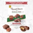 RUSSELL STOVER Sugar Free Assorted Chocolate Candy with Nuts, 15.5 oz ...