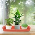Raindrops Red Plant Saucer Set of 2 Indoor Flower Pot Water Catching ...