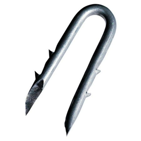 Keystone Steel & Wire 72210 10 lbs. 2 in. Fence Staple | Walmart Canada