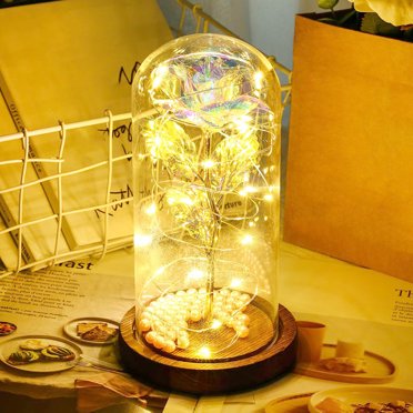 LED Glass Dome w/ Black Base - Walmart.com