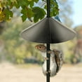 Squirrels Proof Baffle for Bird Feeder Poles Outdoor Squirrels Guard ...