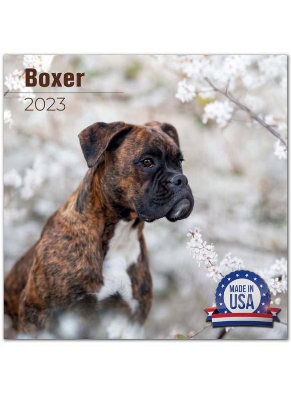 Dog Wall Calendars in Wall Calendars - Walmart.com