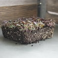 Shiso Seeds - Purple - 1 Oz - Non-GMO Herb Garden & Microgreens / Micro ...