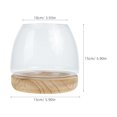 BESTYASH 1Set Clear Glass Aquatic Plant Container Suitable for Home Use ...