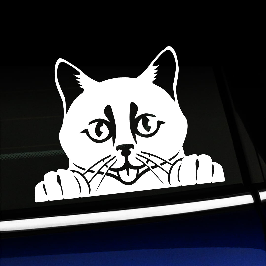 Peeking Cat - Vinyl Car Decal - Choose Color - [WHITE] - Walmart.com