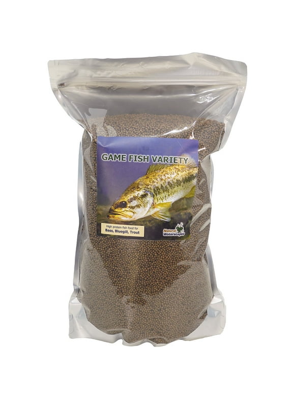 Fish Food in Fish - Walmart.com