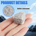 24 Pack Oolitic Limestone 1" Limestone Rock Sedimentary Rock Specimens ...