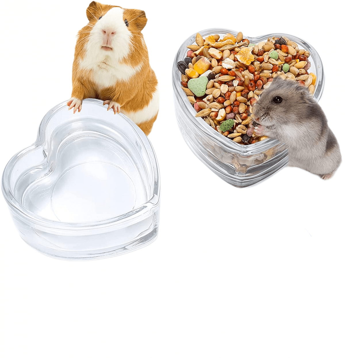 Hamster Food Bowl