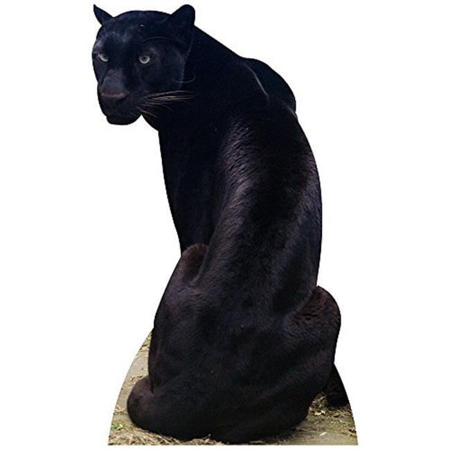 Star Cutouts SC2047 Panther Cardboard Cutout Standup, Black - Walmart.com