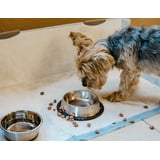 PICO Potty Wall - Vertical Pee Pad Holder - Protection from Dogs that ...