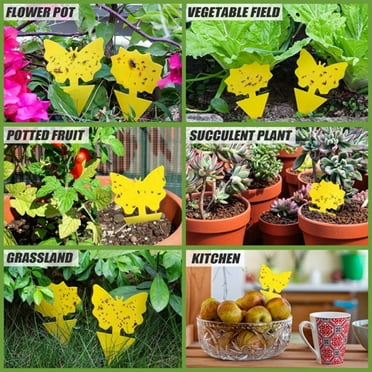 51 Pcs Fly Dual-Sided Yellow Sticky Bug Plant Fly Insect Glue Sticky ...