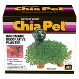 As Seen on TV Chia Pets Chia Dinosaur - Walmart.com