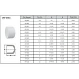 Lesso America 447-015, Plumbing, PVC Pipe Fitting,Cap,SCH40, 1-1/2 ...