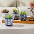 4 Pcs 3.5 Inch Round Ceramic Succulent Pots with Saucers & Drainage ...