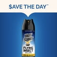 Hot Shot Flying Insect Killer Aerosol Spray, Clean Fresh Scent, 18.75 ...