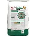 Purina Layena+ 19% Protein Chicken Feed, 40lb. with Fly Larvae & Oyster ...