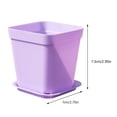 ETHZZLE 24Pcs Plastic Square Nursery Pot with Store Plants for Kitchen ...