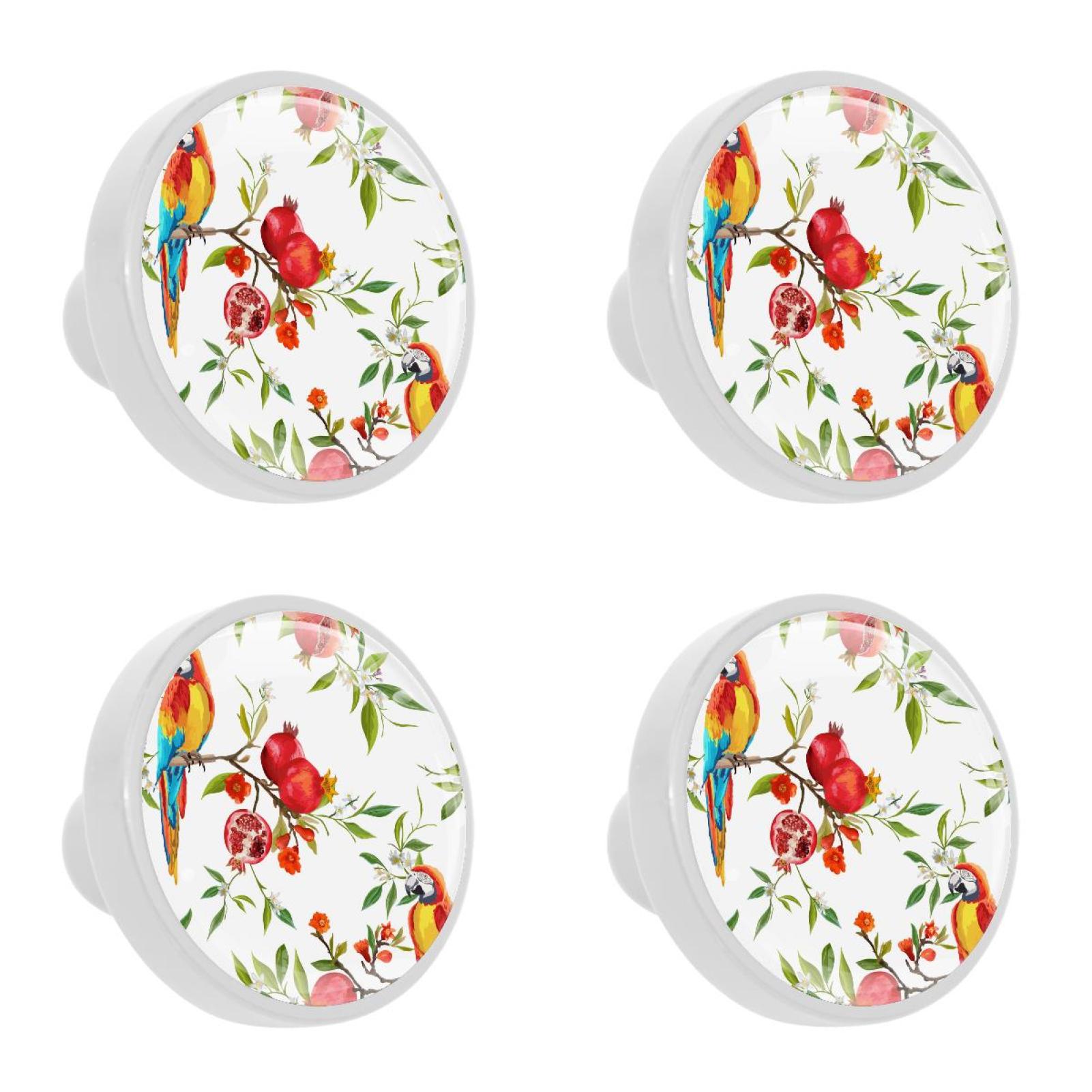 4 Pcs Parrot Knobs for Kitchen Cabinet Cupboard Dresser Bookcase Drawer ...