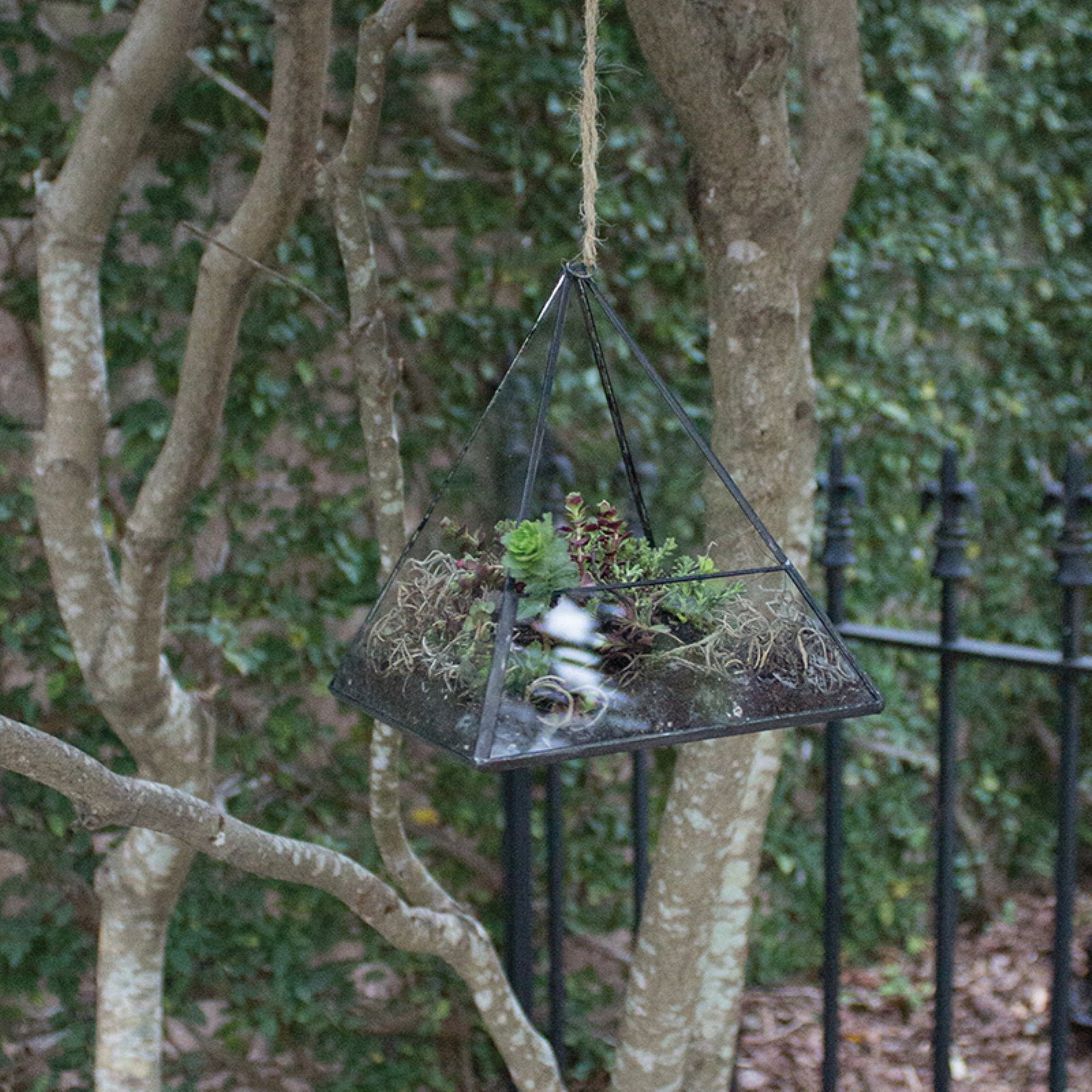 Syndicate Home & Garden Pyramid Geometric Hanging Terrarium - Walmart.com
