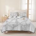 Abstract Marble Texture 3 Pieces Quilt Set,1 Quilt with 2 Shams,Modern ...