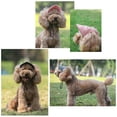 Breathable Canine Baseball Hat Adjustable Strap Sunhat Sun Protections ...