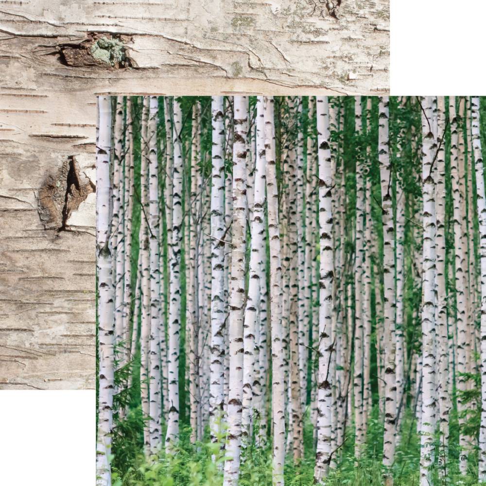 Scandinavian Woodland Double-Sided Cardstock 12"X12"-Birch Wood ...