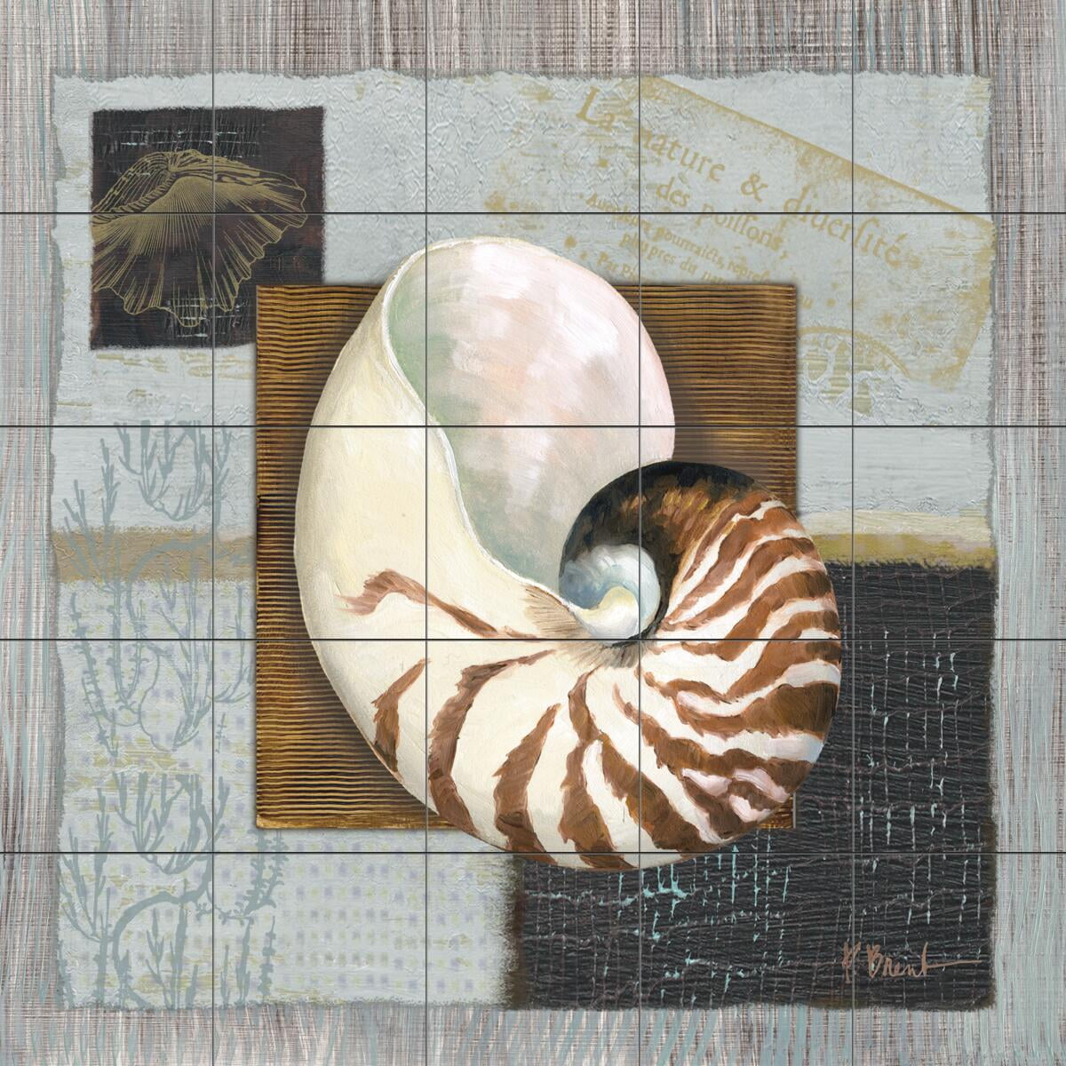 Tile Mural Bathroom Backsplash - Westport Nautilus - by Paul Brent ...