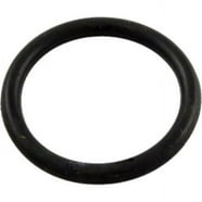 Pentair R36046 Baker Hydro Ring Die Gasket for Vac-Mate 211100 ...