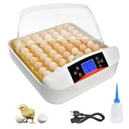 Ovation 28 Advance automatic egg incubator with humidity display ...